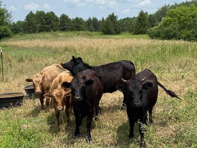 Contact Us – Heritage Hills Homestead